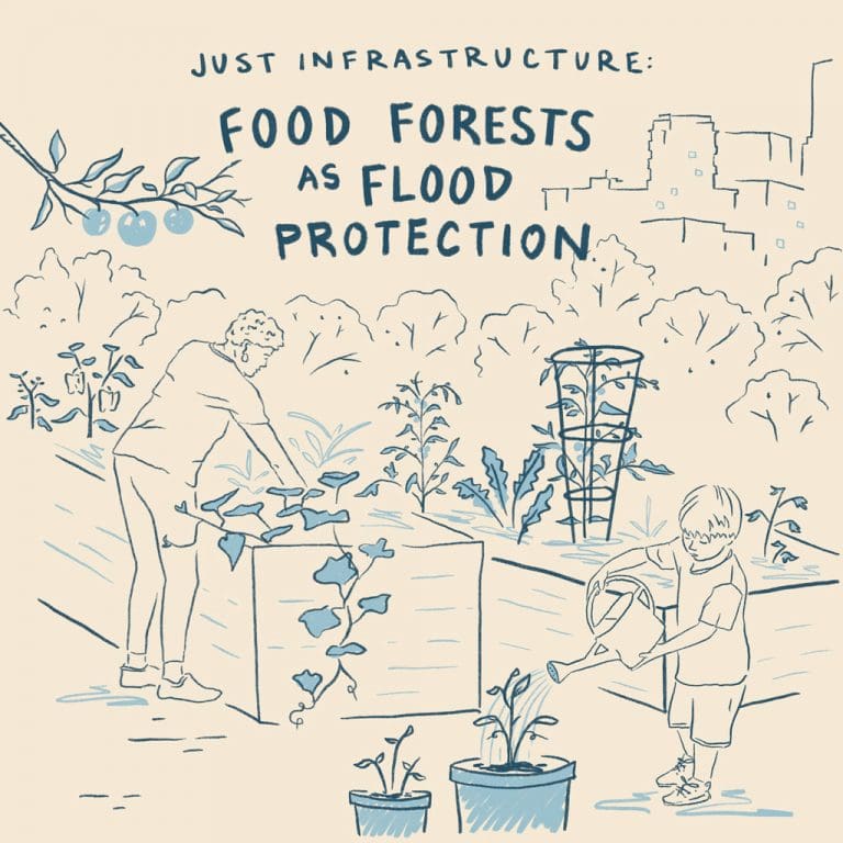 Food Forests as Flood Protection - Just Infrastructure